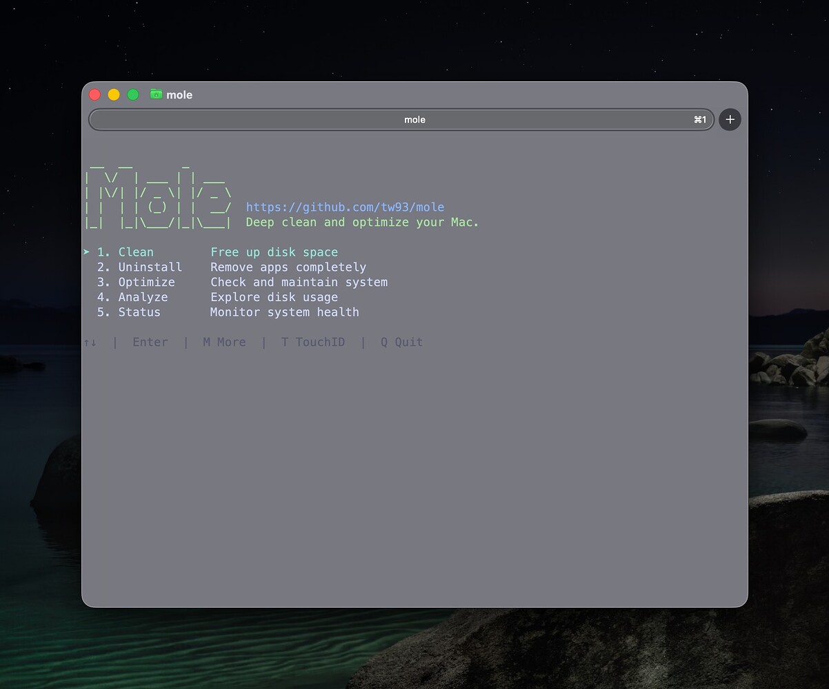 Mole - a terminal tool to clean and optimize Mac environment - TidBITS Talk - TidBITS Talk